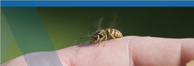 Stinging Insect Injury Prevention – Important Information for Employers ...