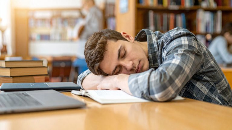 Napping at Work? It’s Common in Japan. - SBAM | Small Business ...